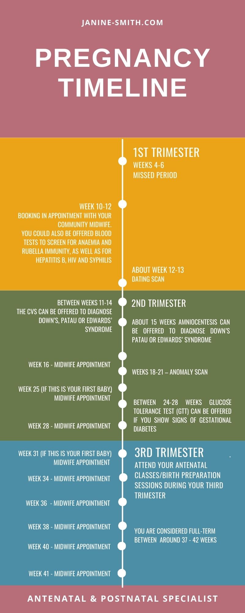Pregnancy Timeline – antenatal & postnatal specialist