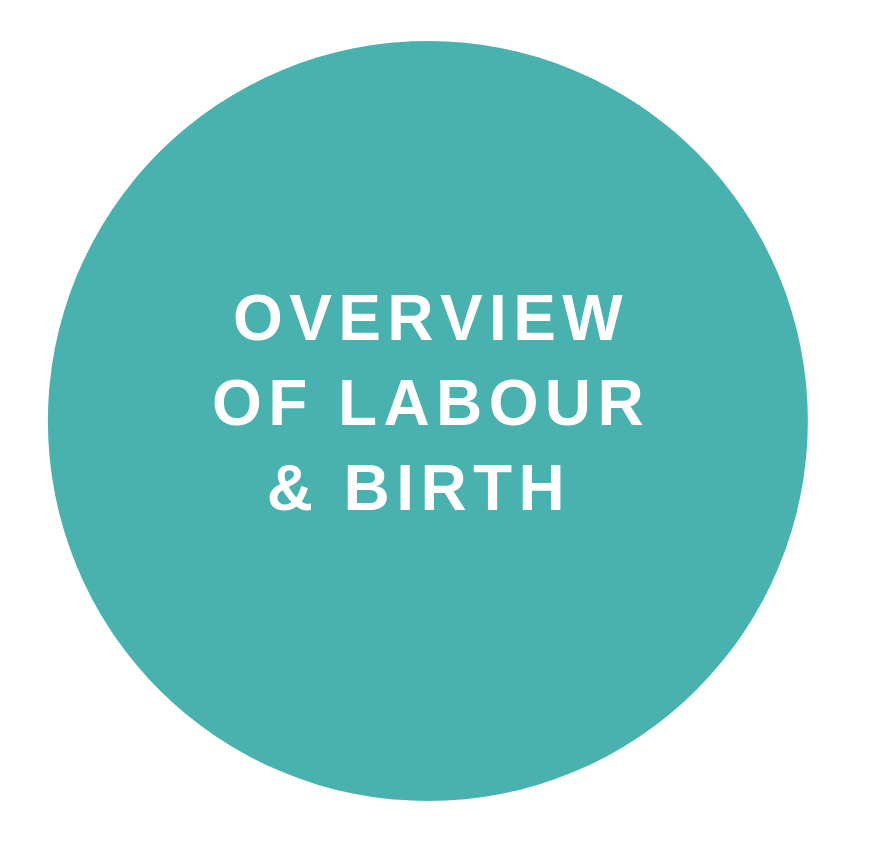 Labour and Birth Essentials – antenatal & postnatal specialist